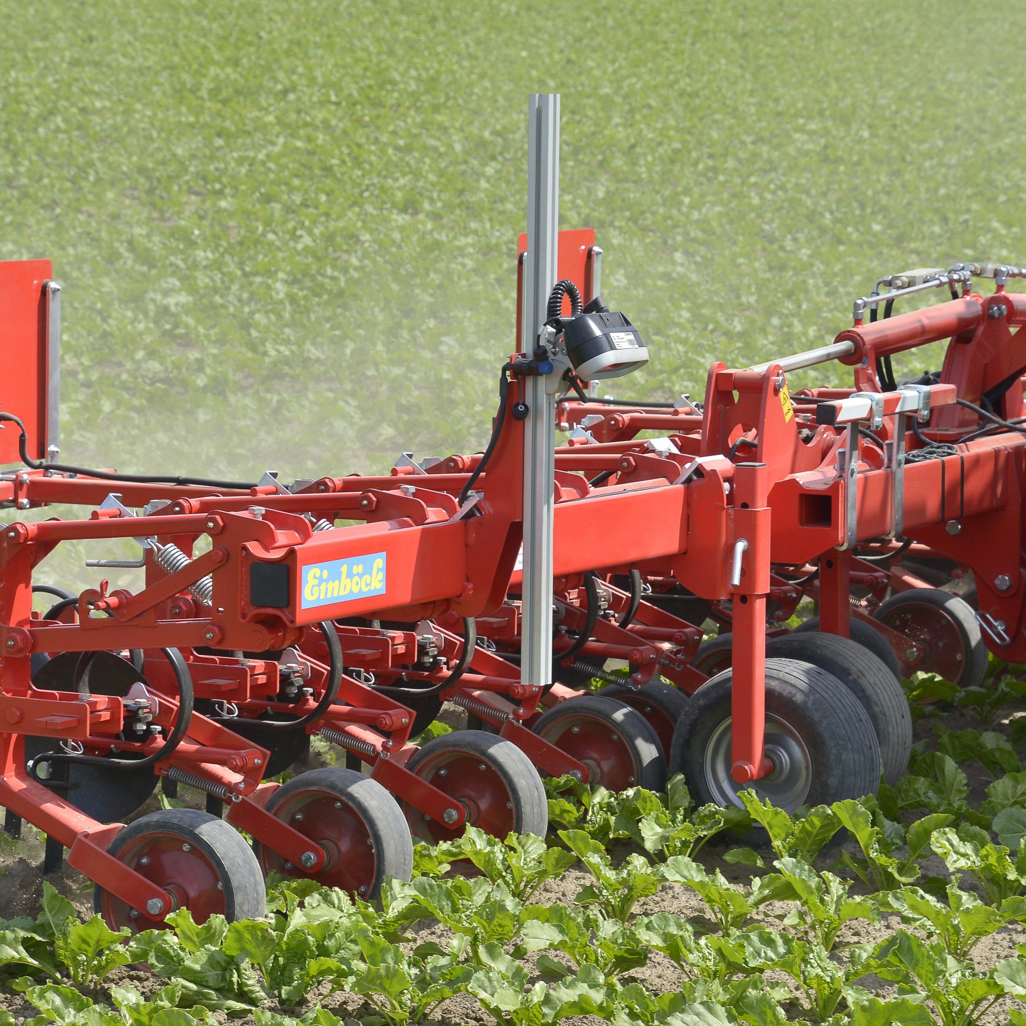 Vegetable Equipment Archives - Vin Rowe Farm Machinery